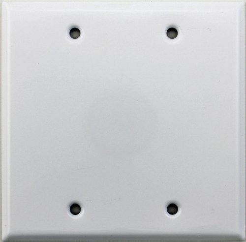 Stamped Smooth White Two Gang Blank Wall Plate